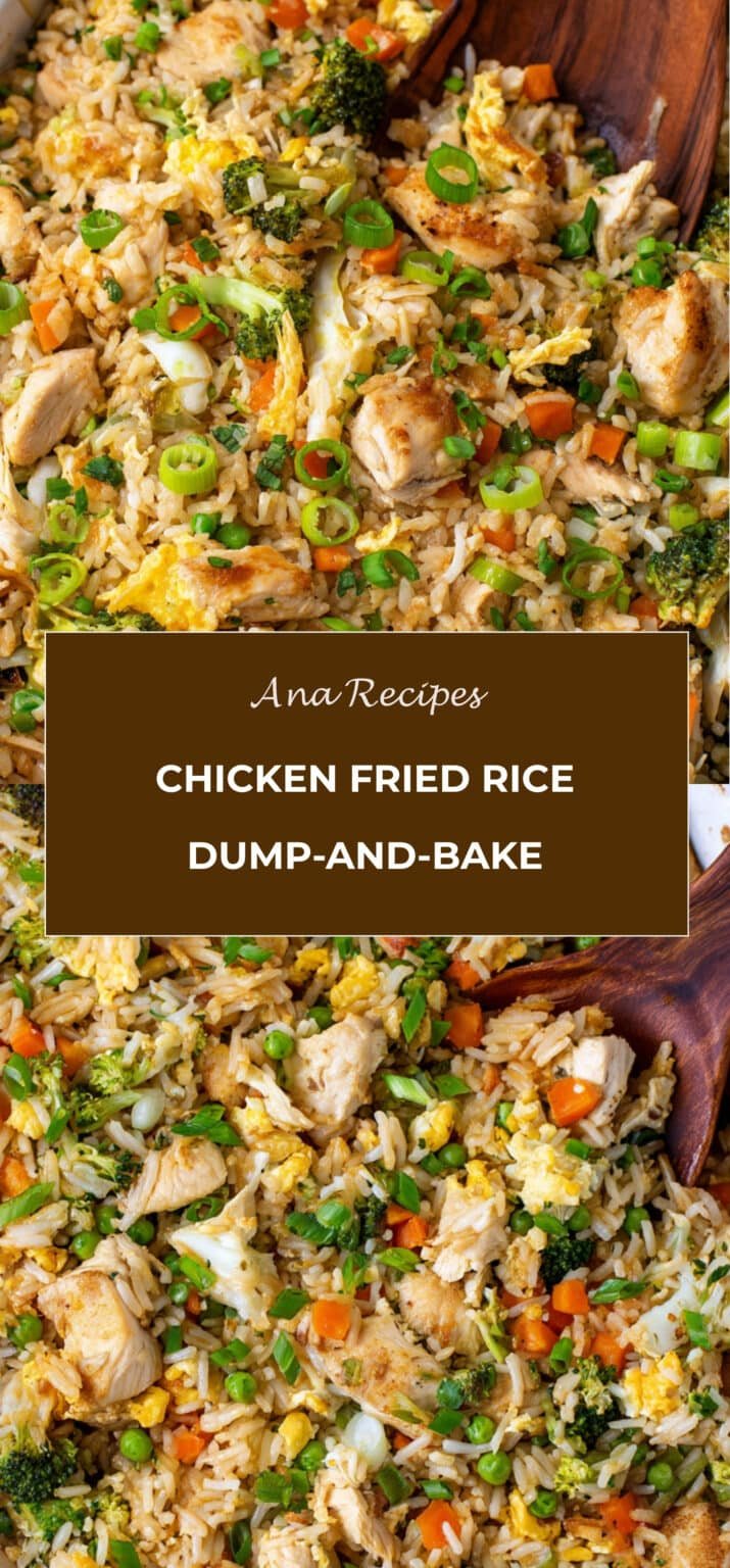Chicken Fried Rice Dump-and-Bake Recipe – anarecipes.com